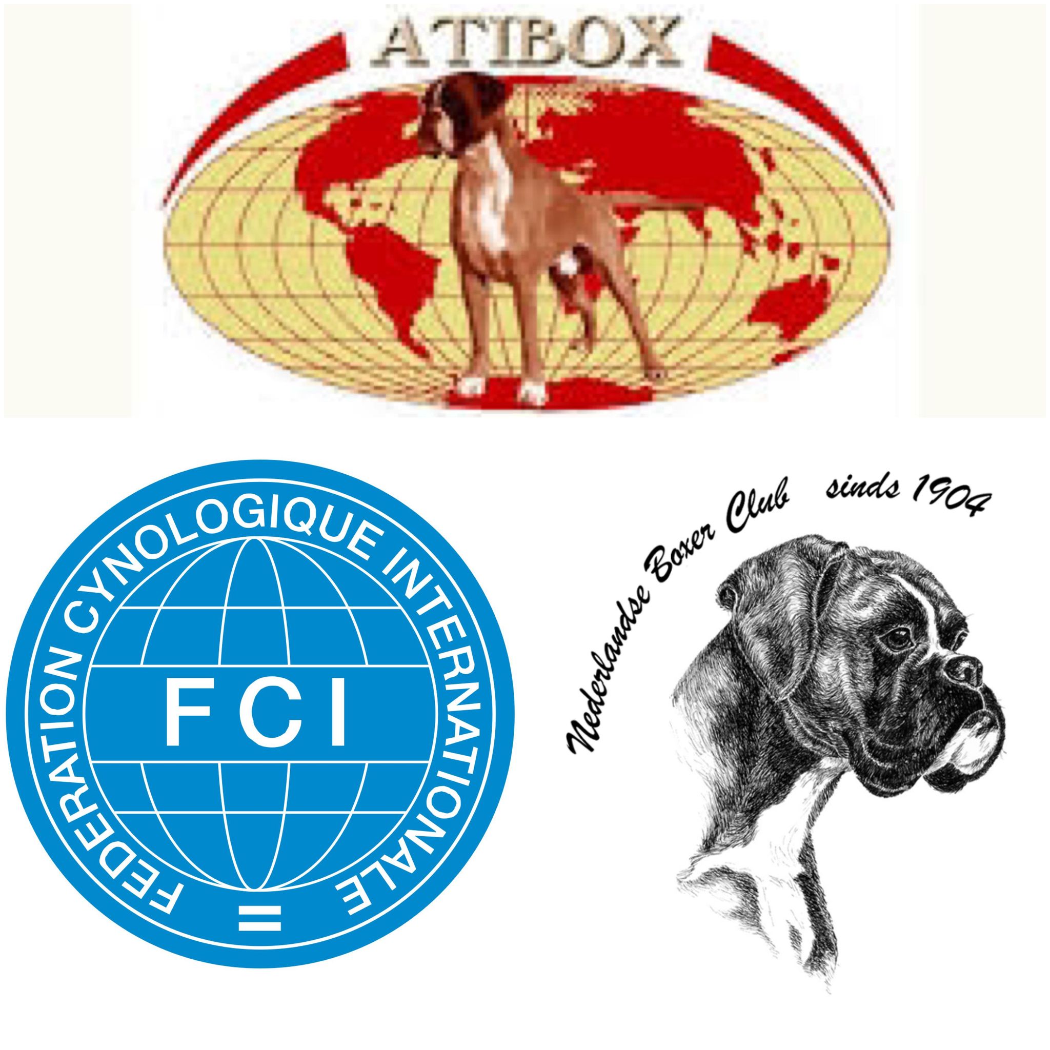 ATIBOX WM IGP & IFH 2023 – BOXER WM FCI-IGP & FCI-IFH with FCI Wildcard ...